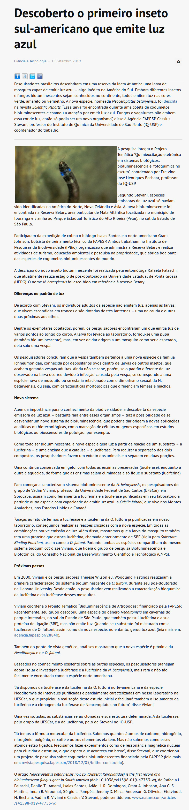 Primeiro inseto sul-americano que emite luz azul é descoberto em São ...